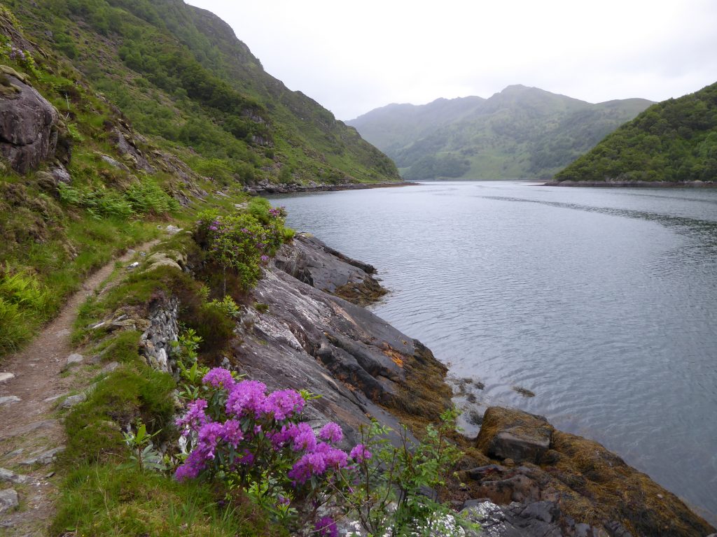 Day 16: Shiell Bridge - Kinloch Hourn - Skiary - Walk Home to Hastings