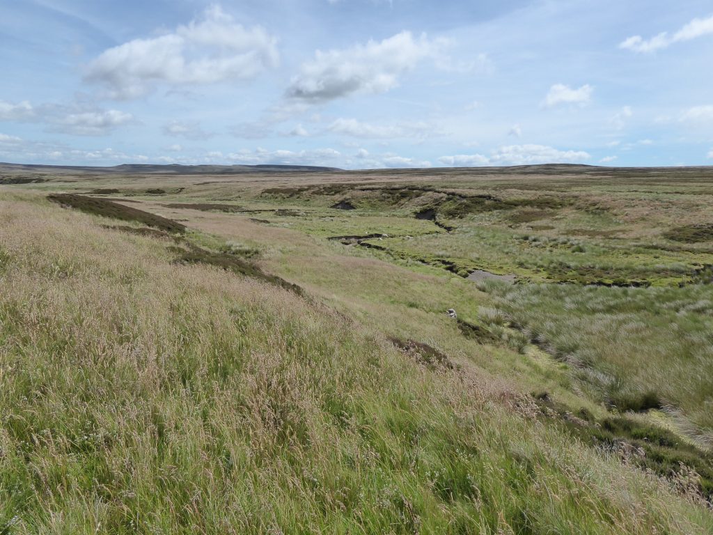 Day 45: Baldersdale - Stainmore Forest - Bowes Moor - Tan Hill - Keld ...